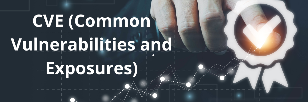 👉¿Qué es CVE? - Common Vulnerabilities and Exposures